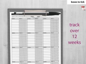12 week challenge checklist – Lakazdi Graphic Design